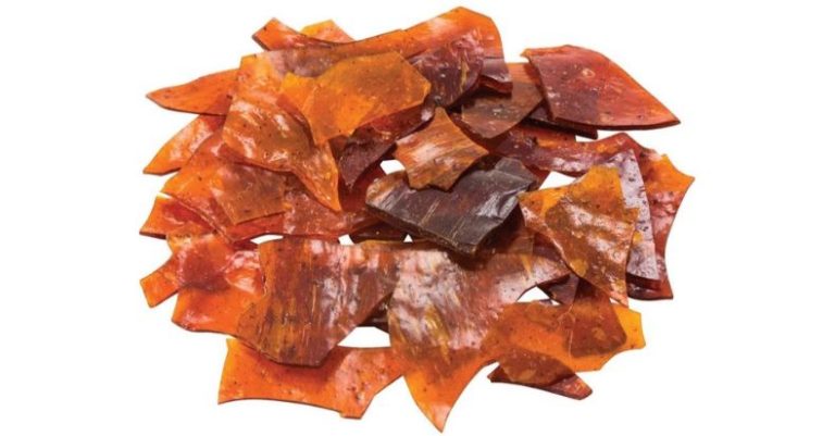 Is Shellac Vegan & Vegetarian? Confectioner's Glaze! - Veganoga