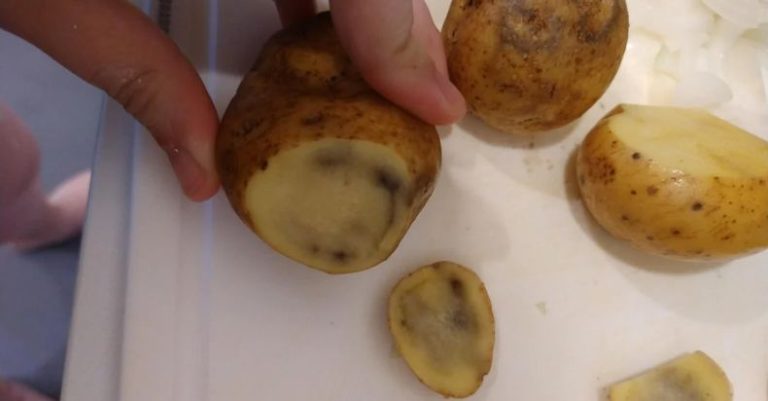What Causes The Brown Spots On Potatoes? | Veganoga