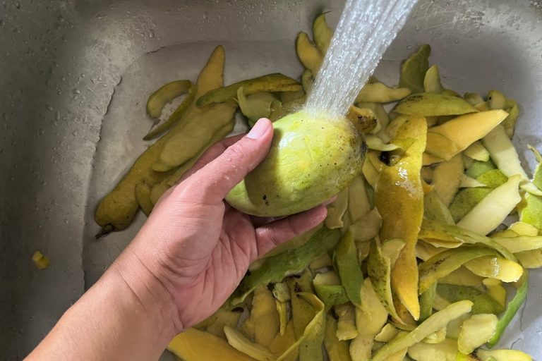 9 Surprising Reasons Why Your Mango Is Brown Inside | Veganoga