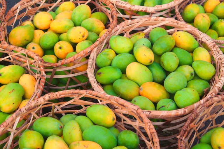 9 Surprising Reasons Why Your Mango Is Brown Inside | Veganoga