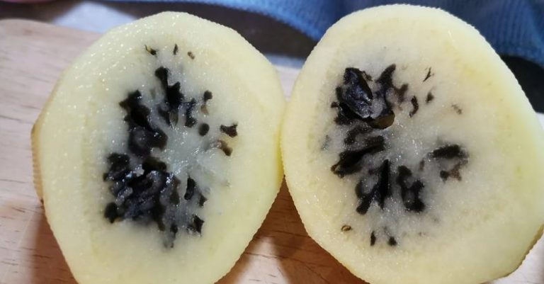 What Causes The Brown Spots On Potatoes? | Veganoga