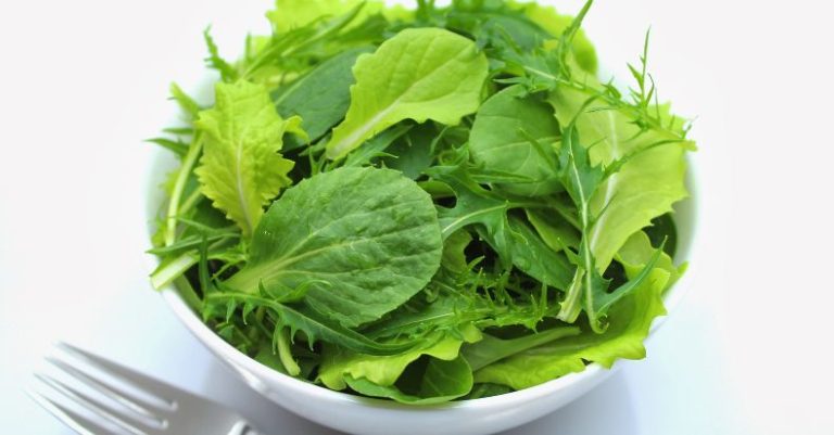 Baby Lettuce Guide: Benefits, Nutrition, And Recipes | Veganoga