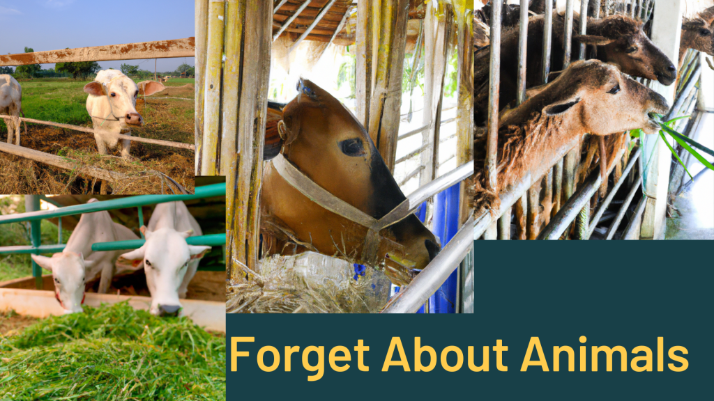 Forget About Animals, Here’s Why You Should Go Vegan Today! | Veganoga